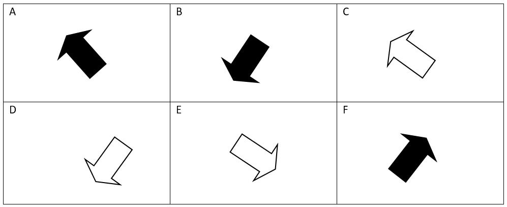 Quiz Army Cognitive Tests | 388 Always up to date questions